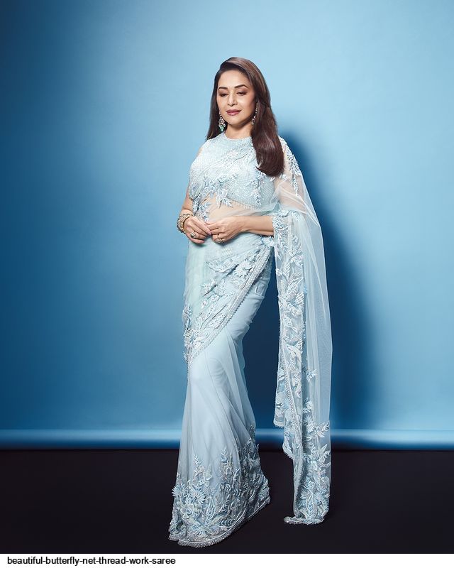 BEAUTIFUL Butterfly NET THREAD WORK SAREE