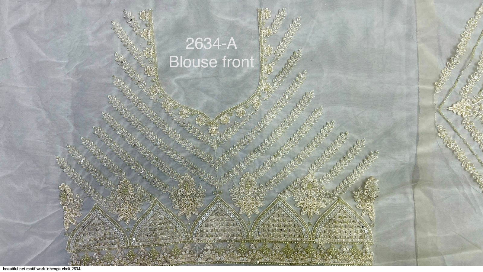 BEAUTIFUL NET MOTIF WORK LEHENGA CHOLI 2634