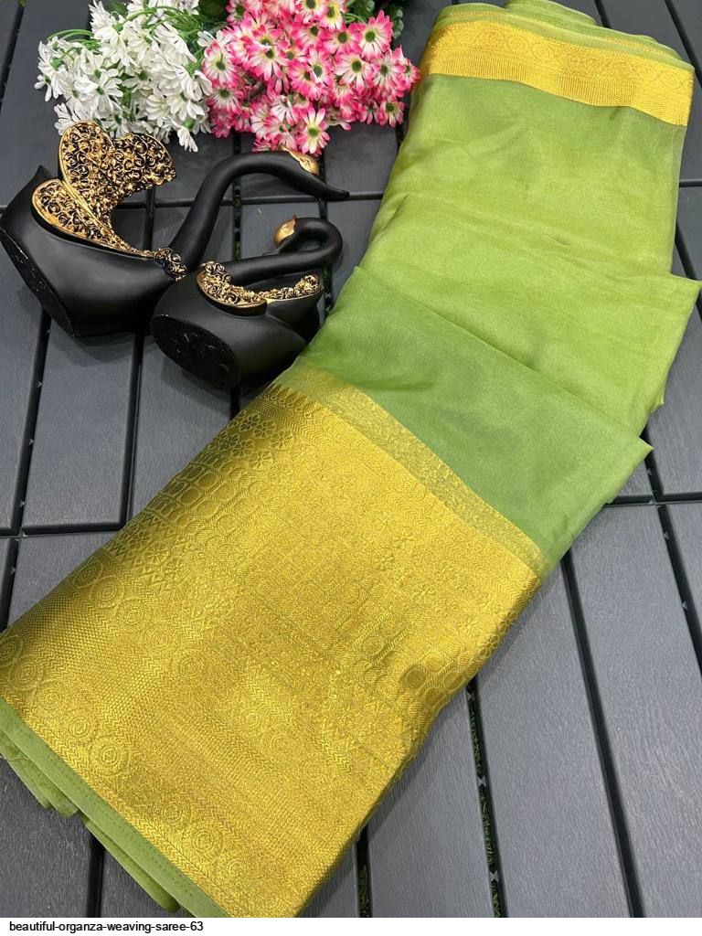 BEAUTIFUL ORGANZA WEAVING SAREE 63