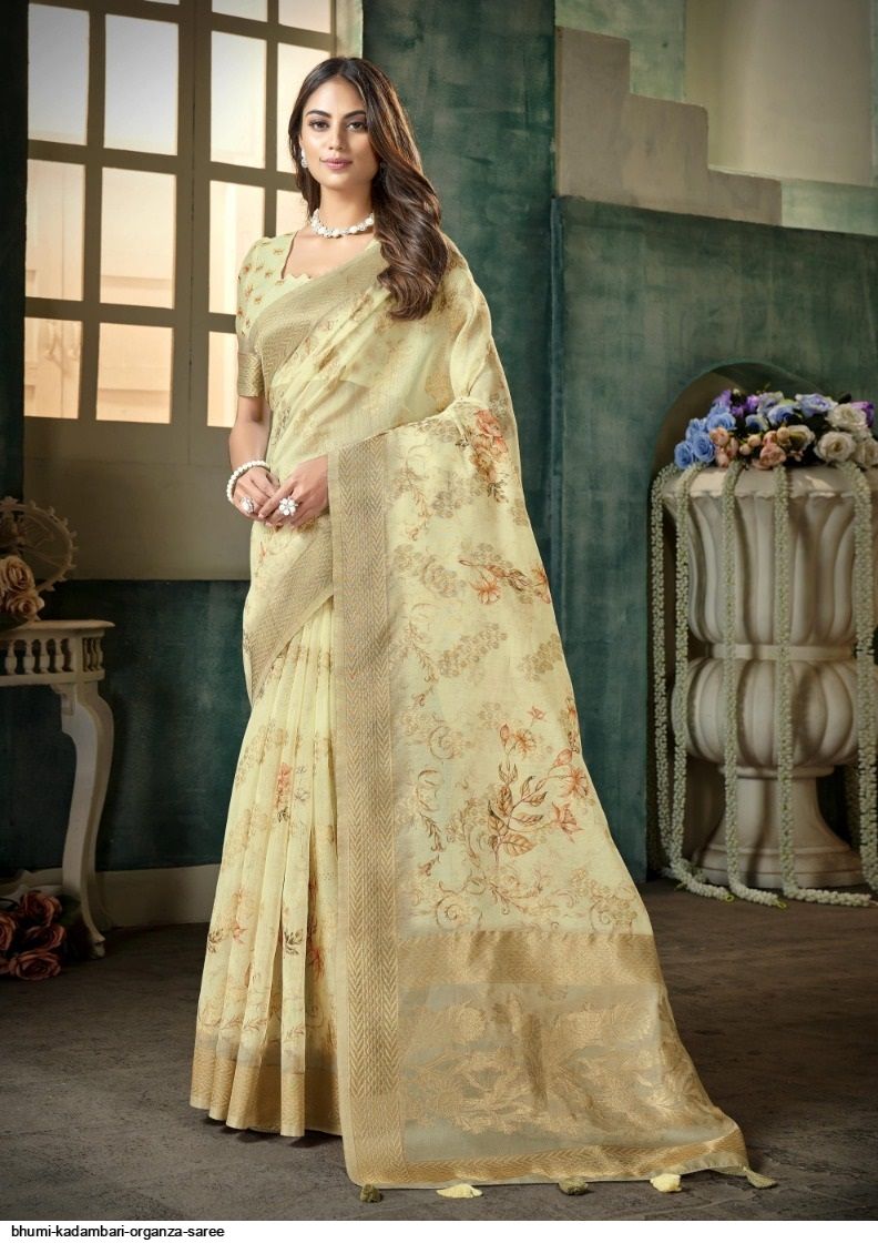 BHUMI KADAMBARI ORGANZA saree