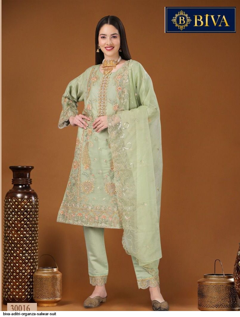 BIVA ADITRI Organza SALWAR SUIT