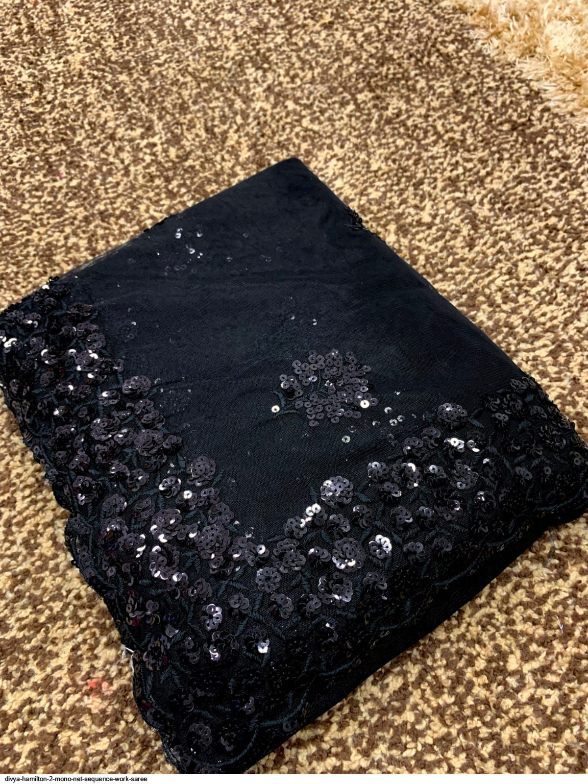 DIVYA HAMILTON 2 mono net sequence work SAREE