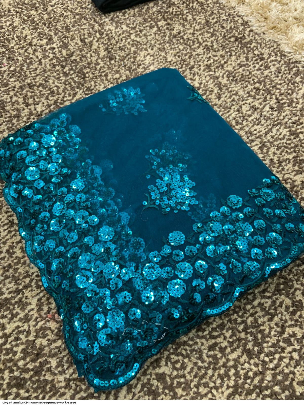 DIVYA HAMILTON 2 mono net sequence work SAREE