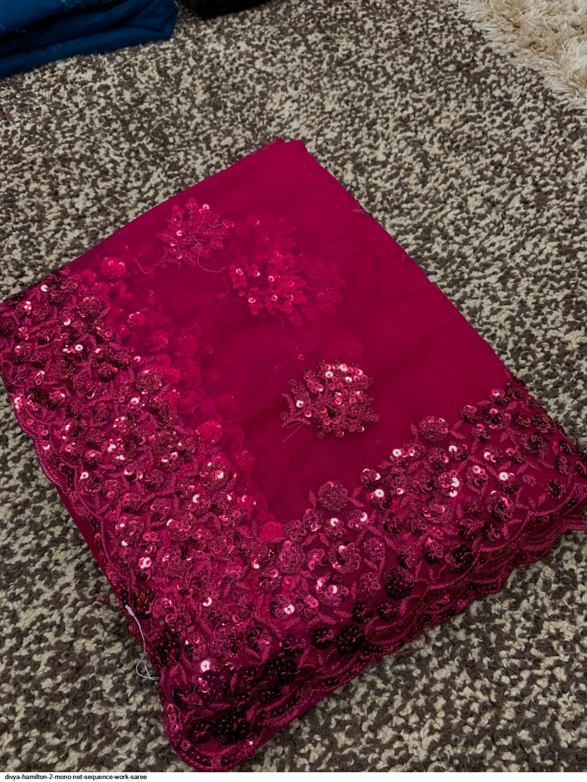 DIVYA HAMILTON 2 mono net sequence work SAREE