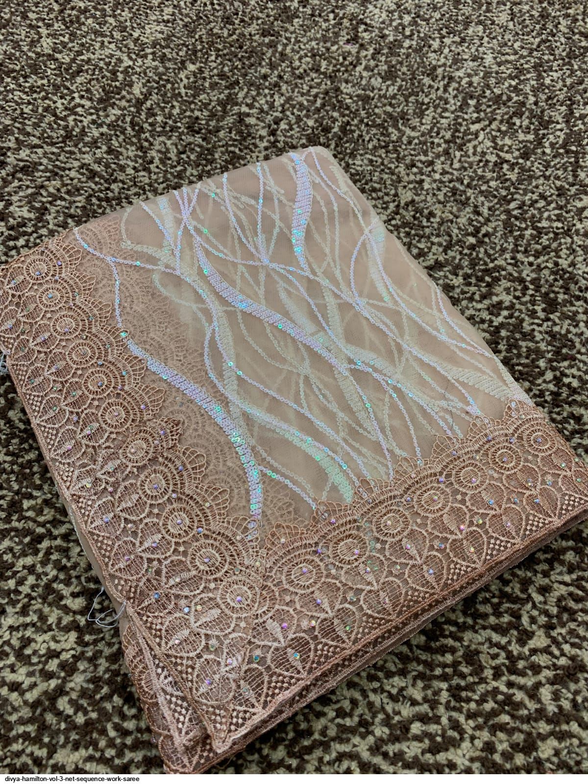 DIVYA HAMILTON VOL 3 NET SEQUENCE WORK SAREE