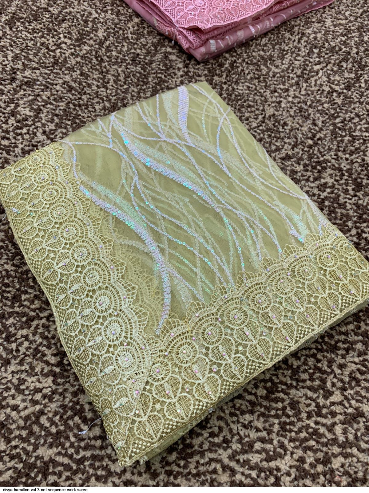 DIVYA HAMILTON VOL 3 NET SEQUENCE WORK SAREE