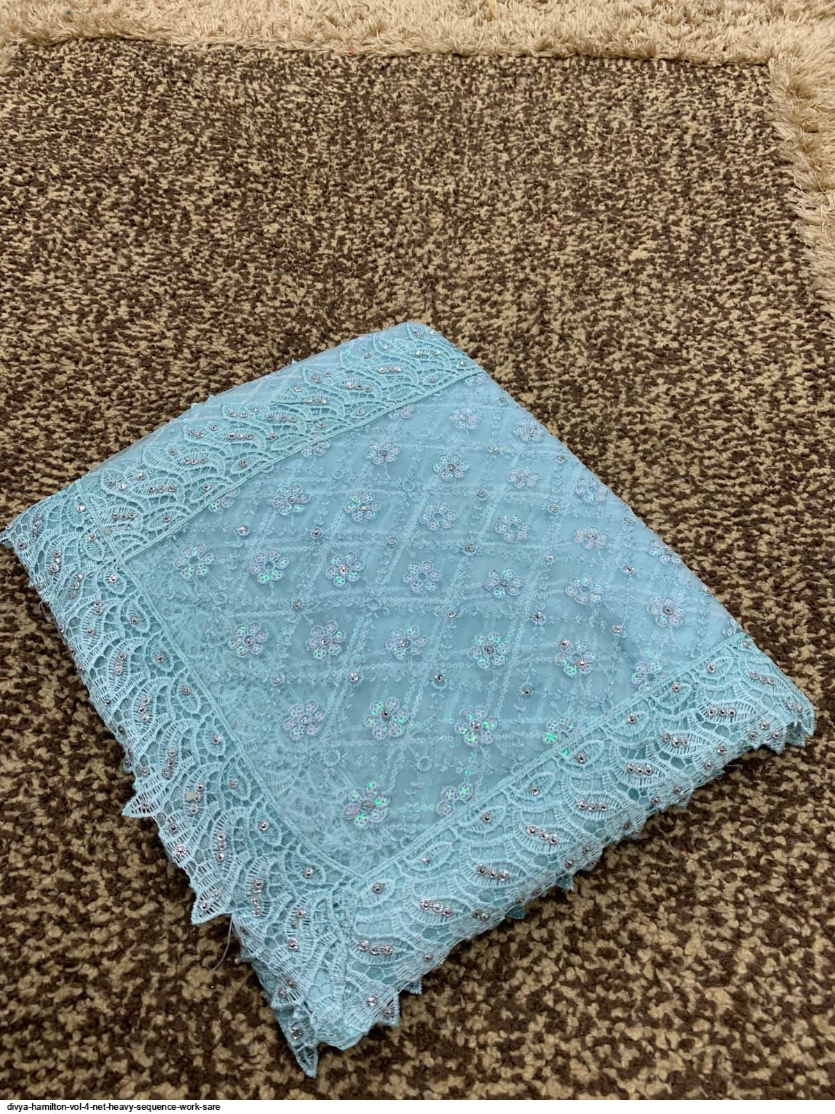 DIVYA HAMILTON VOL 4 NET heavy sequence work SARE