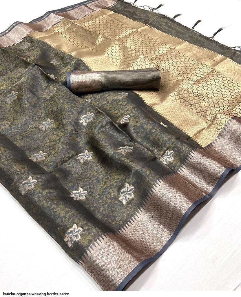 KANCHA ORGANZA WEAVING BORDER SAREE