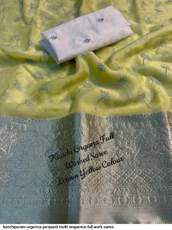 Kanchipuram Orgenza jacquard Multi Sequence Full Work Saree