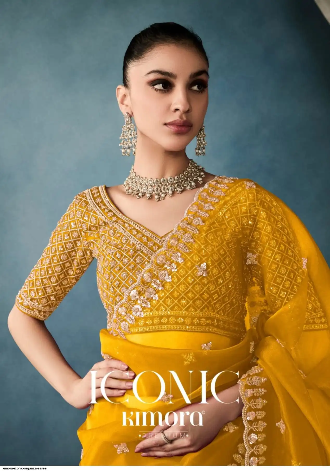 Kimora Iconic Organza SAREE