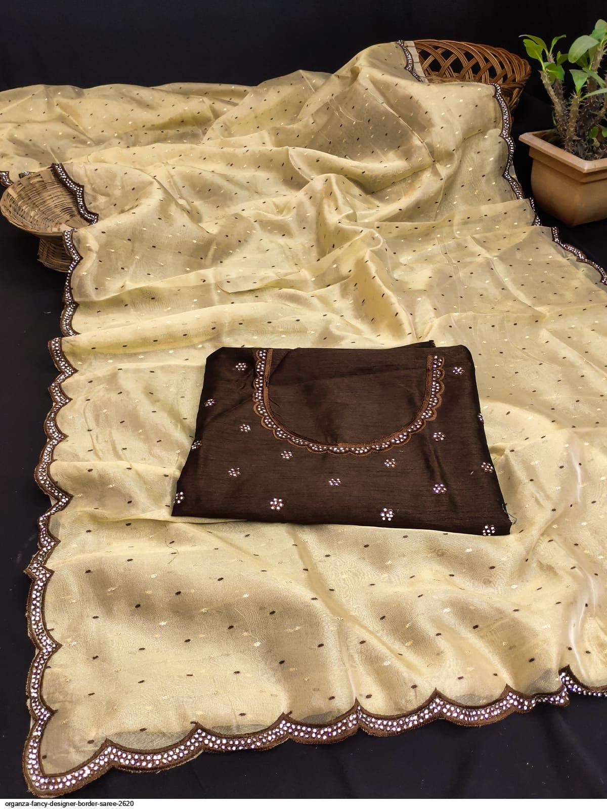 Organza Fancy Designer Border saree 2620