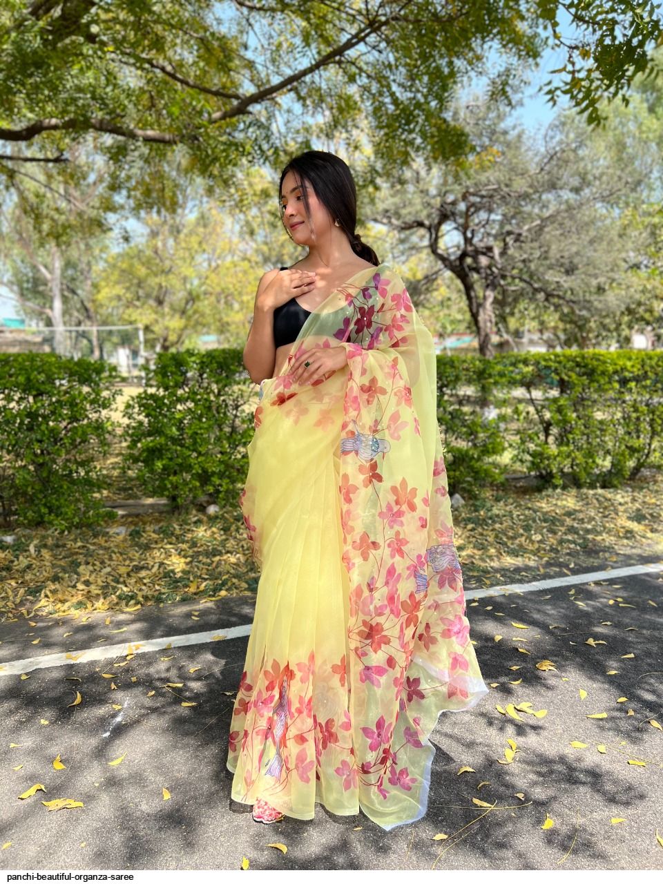 PANCHI BEAUTIFUL Organza SAREE