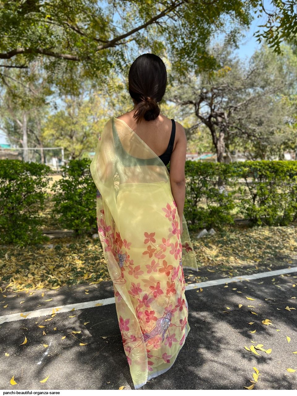 PANCHI BEAUTIFUL Organza SAREE