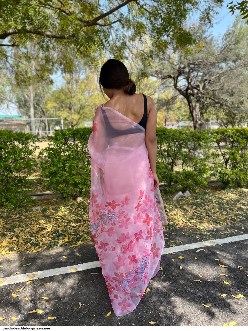 PANCHI BEAUTIFUL Organza SAREE