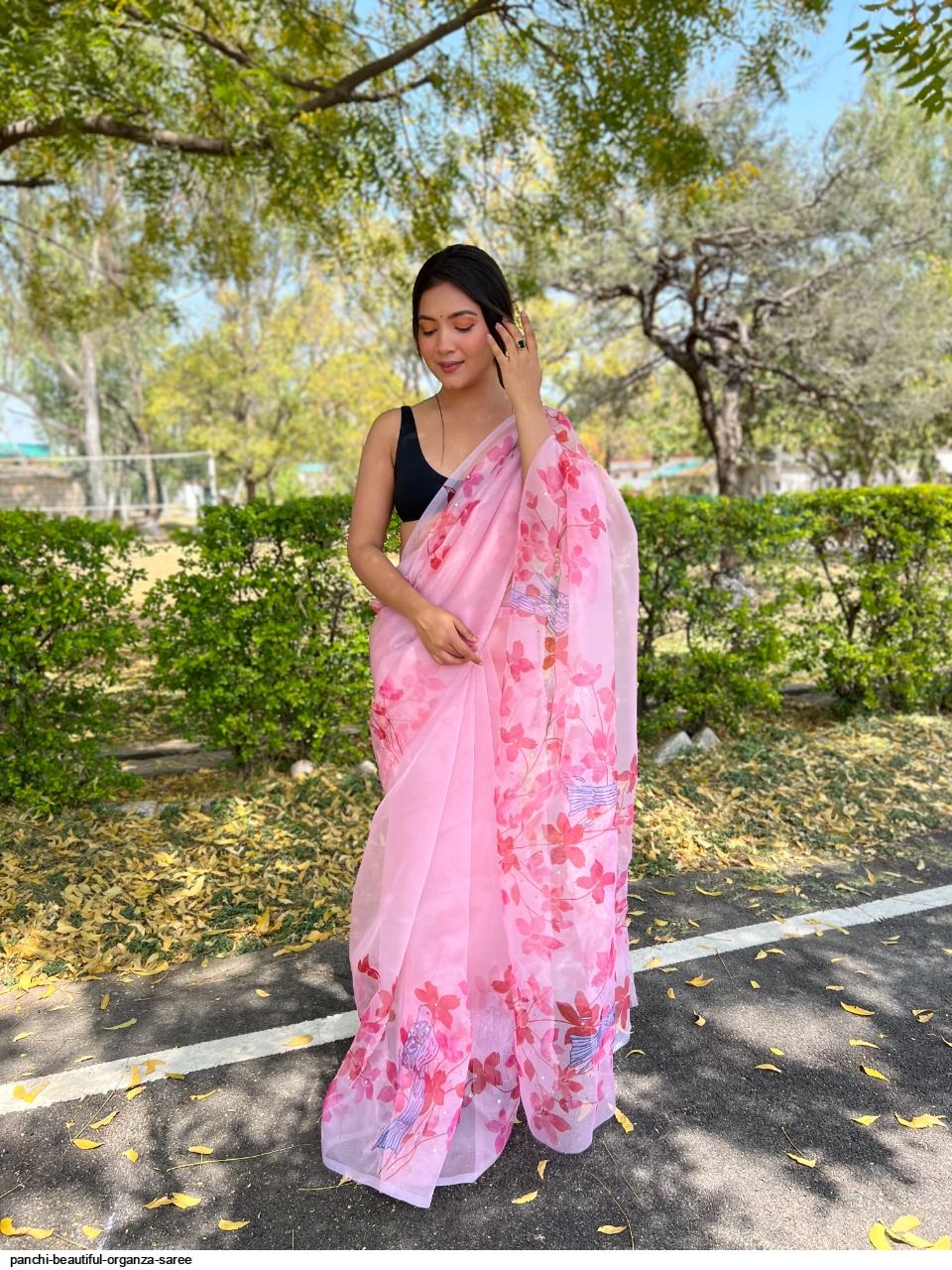 PANCHI BEAUTIFUL Organza SAREE