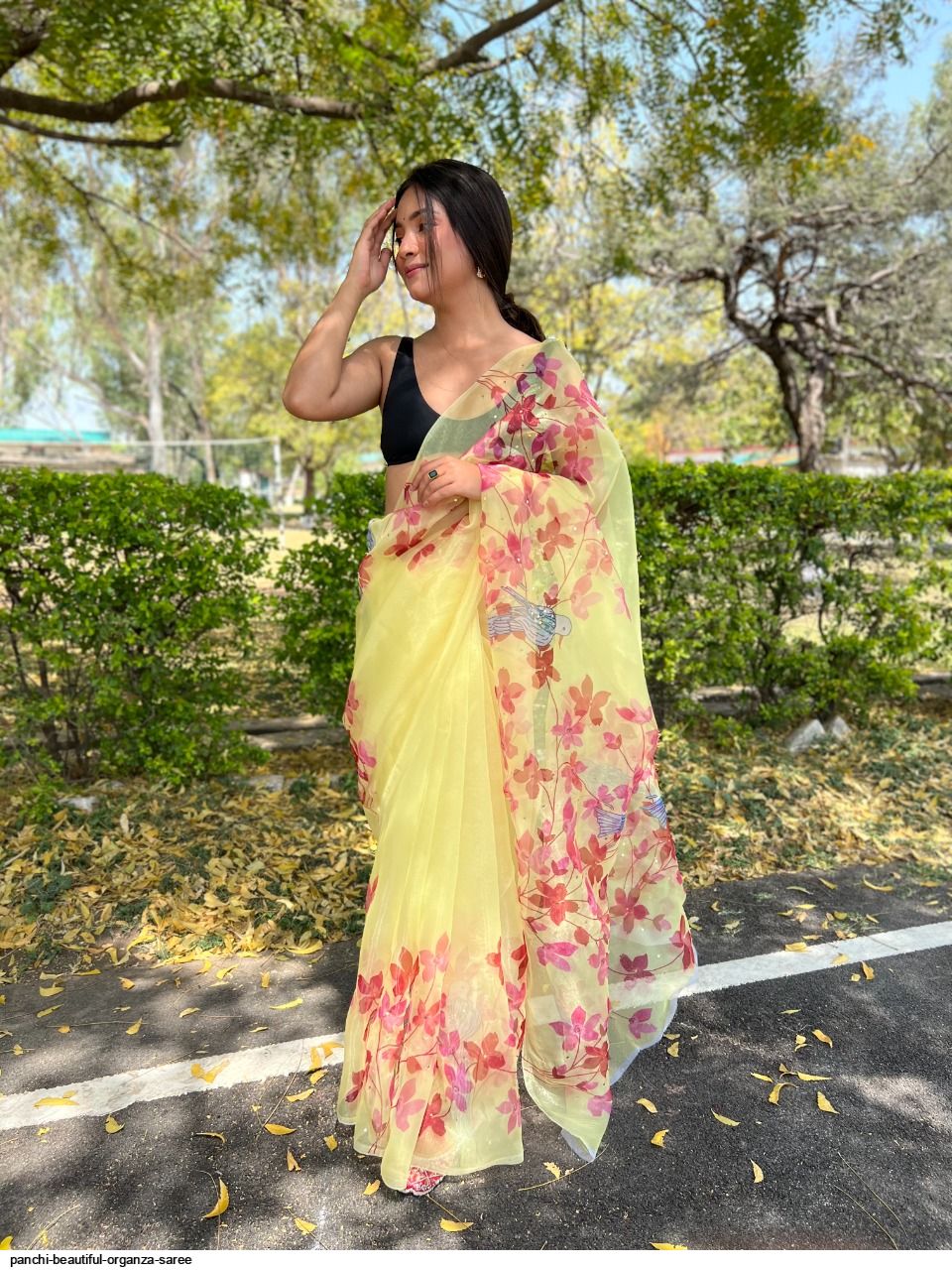 PANCHI BEAUTIFUL Organza SAREE