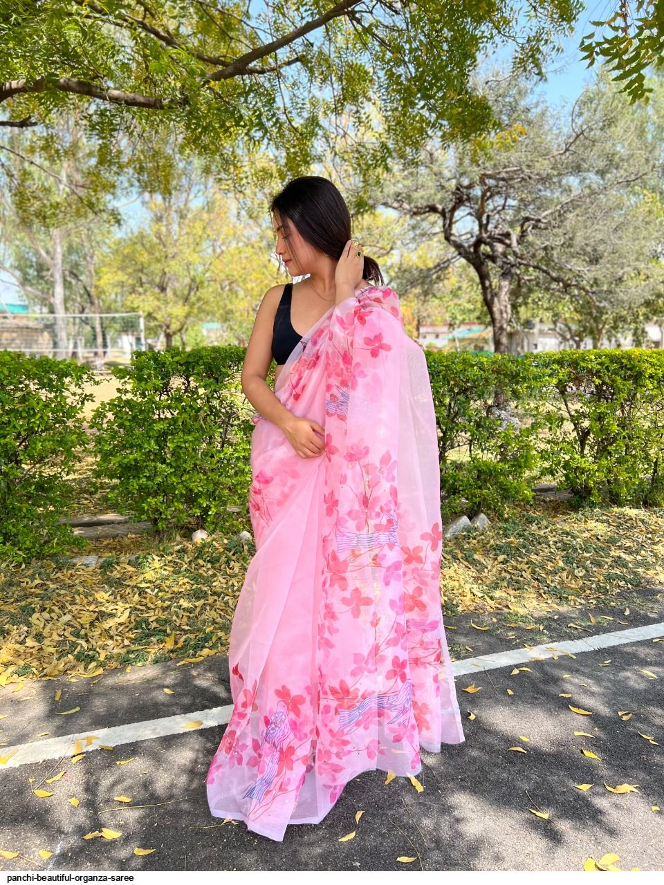 PANCHI BEAUTIFUL Organza SAREE