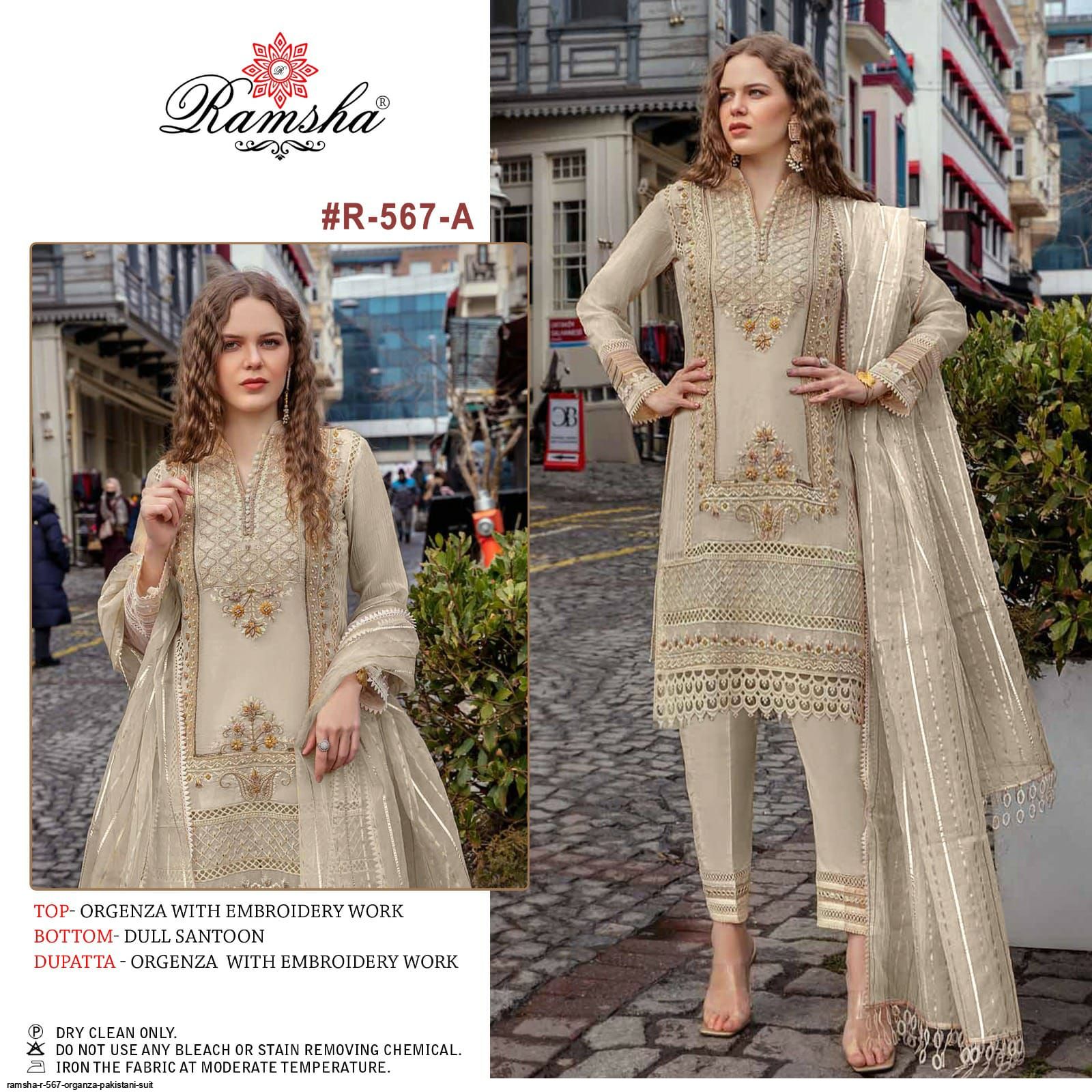 RAMSHA R 567 ORGANZA pakistani suit