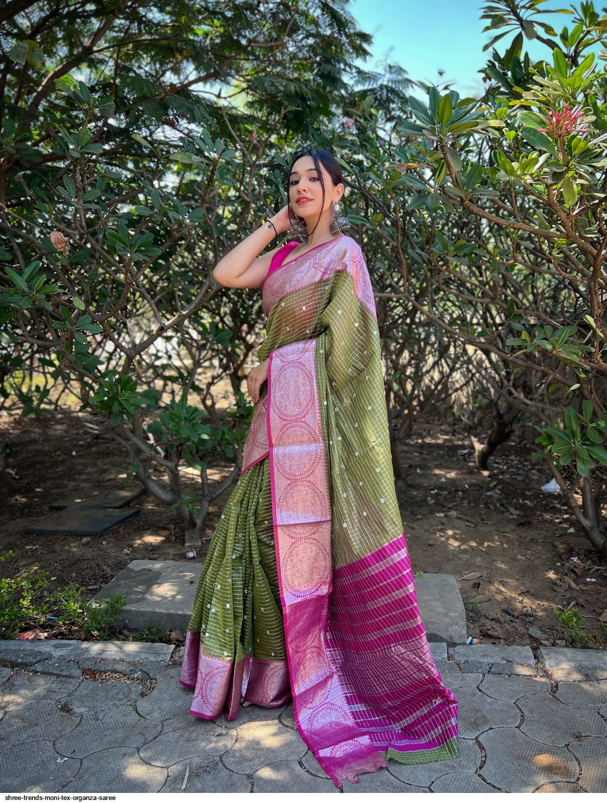 SHREE TRENDS MONI TEX ORGANZA SAREE