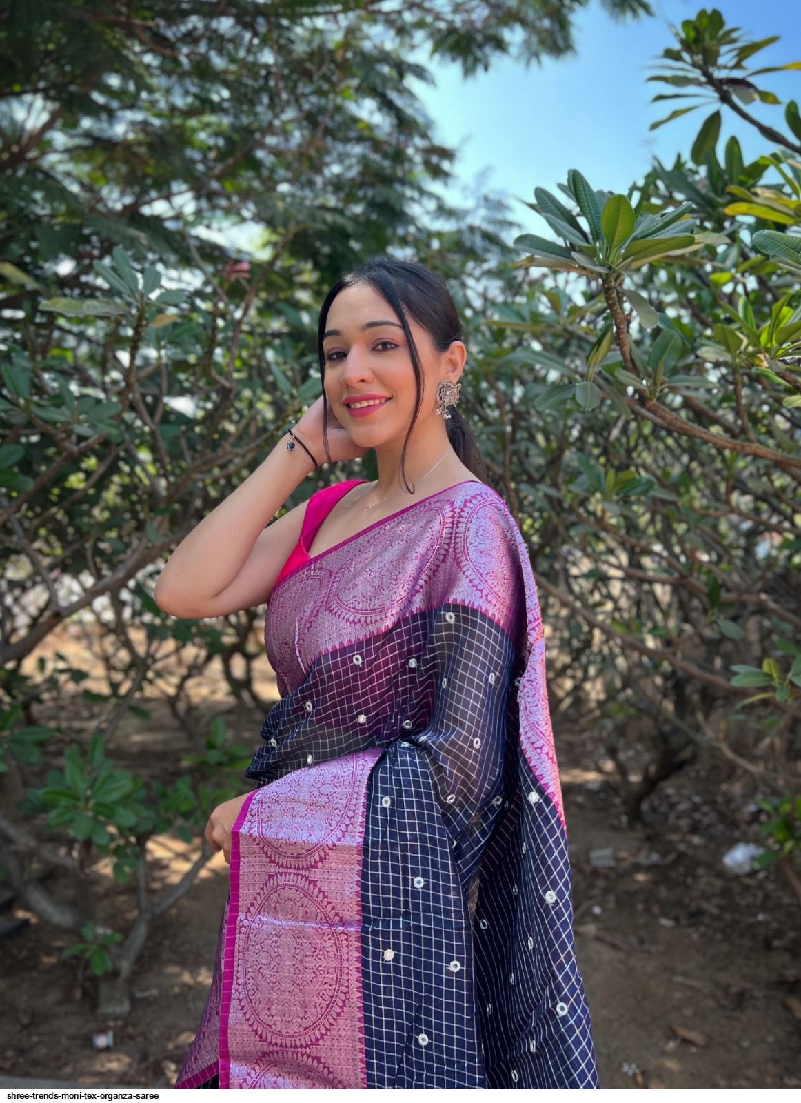 SHREE TRENDS MONI TEX ORGANZA SAREE