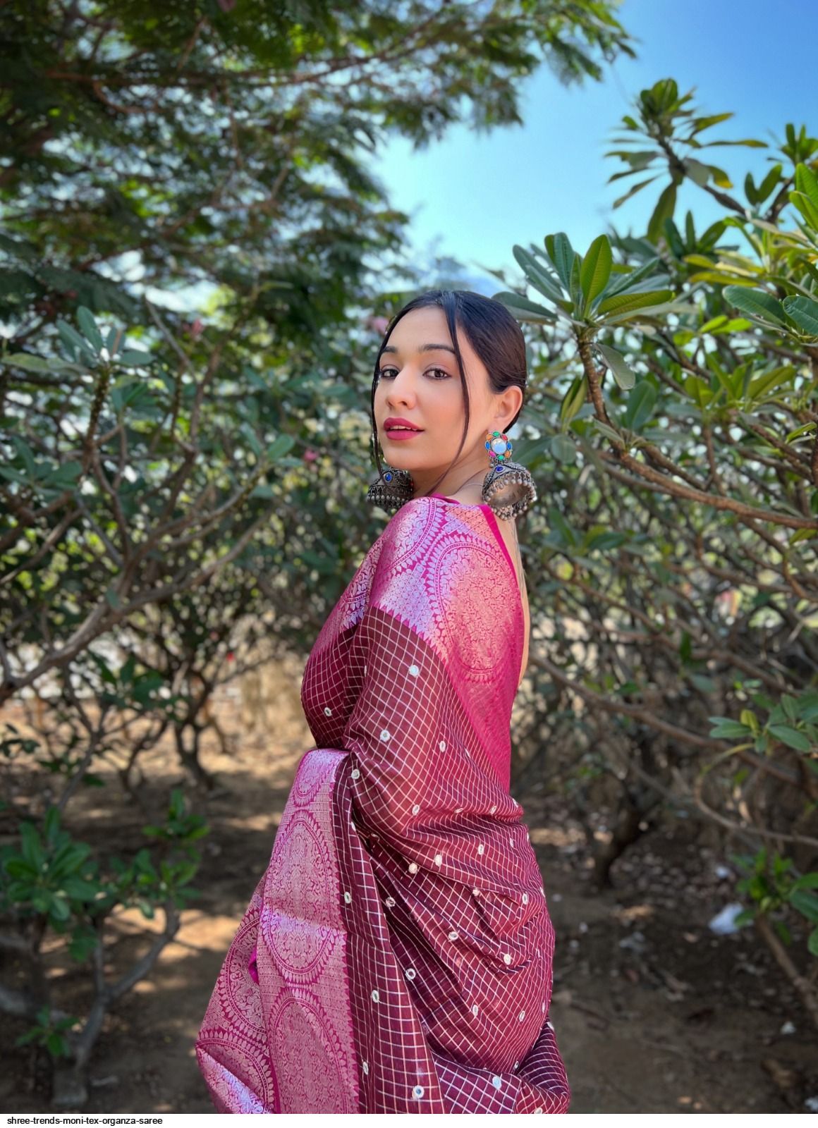 SHREE TRENDS MONI TEX ORGANZA SAREE