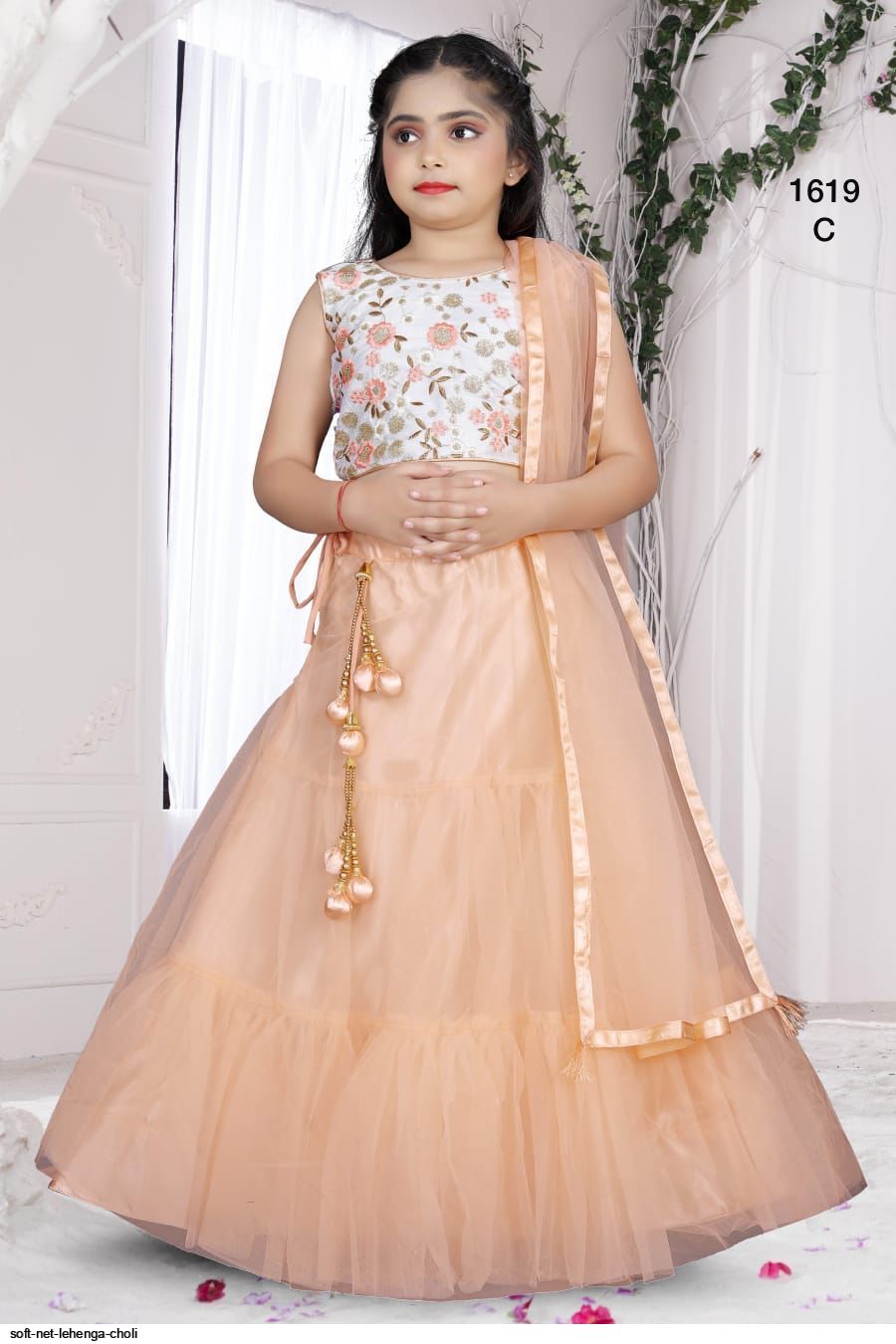 SOFT NET LEHENGA CHOLI