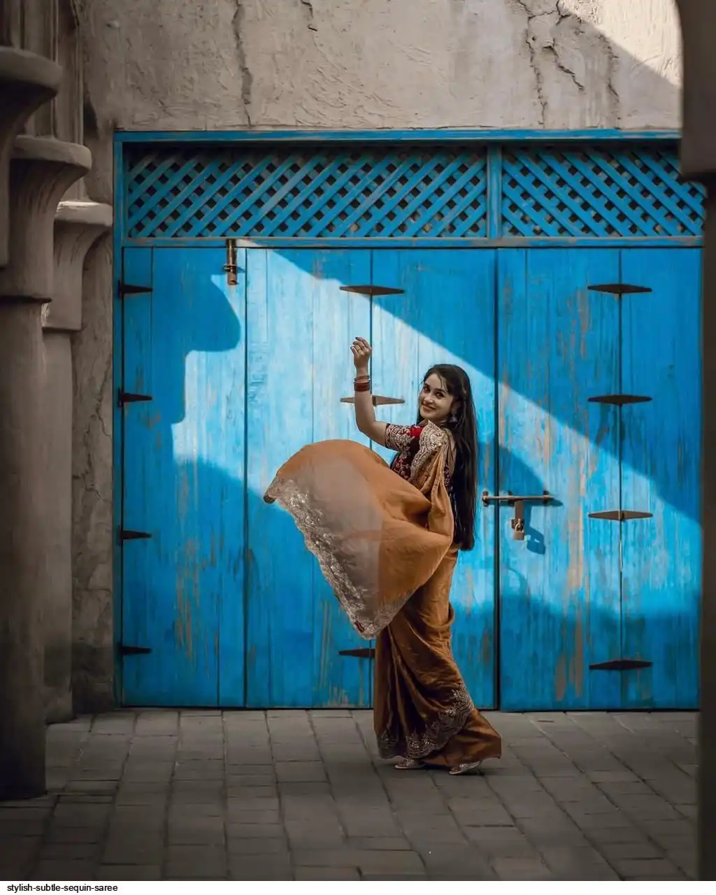 stylish subtle sequin saree