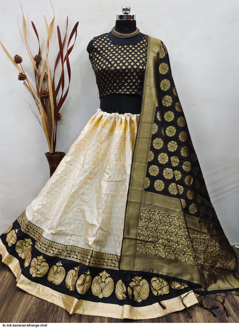 TIC TOK BANARASI LEHENGA CHOLI